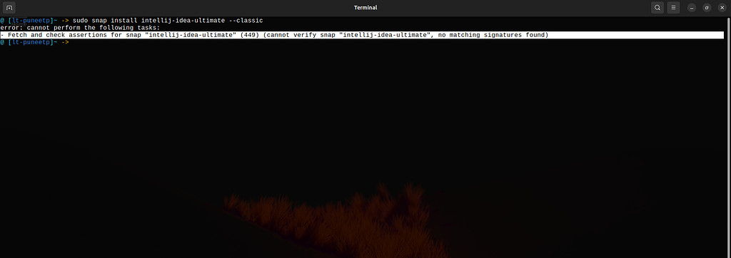 Cannot Install intellij ultimate in ubuntu 23.04 - snap - snapcraft.io