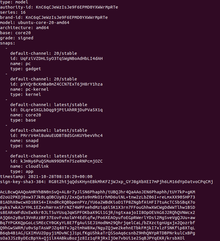 Using ubuntu-image snap command gives error - device - snapcraft.io