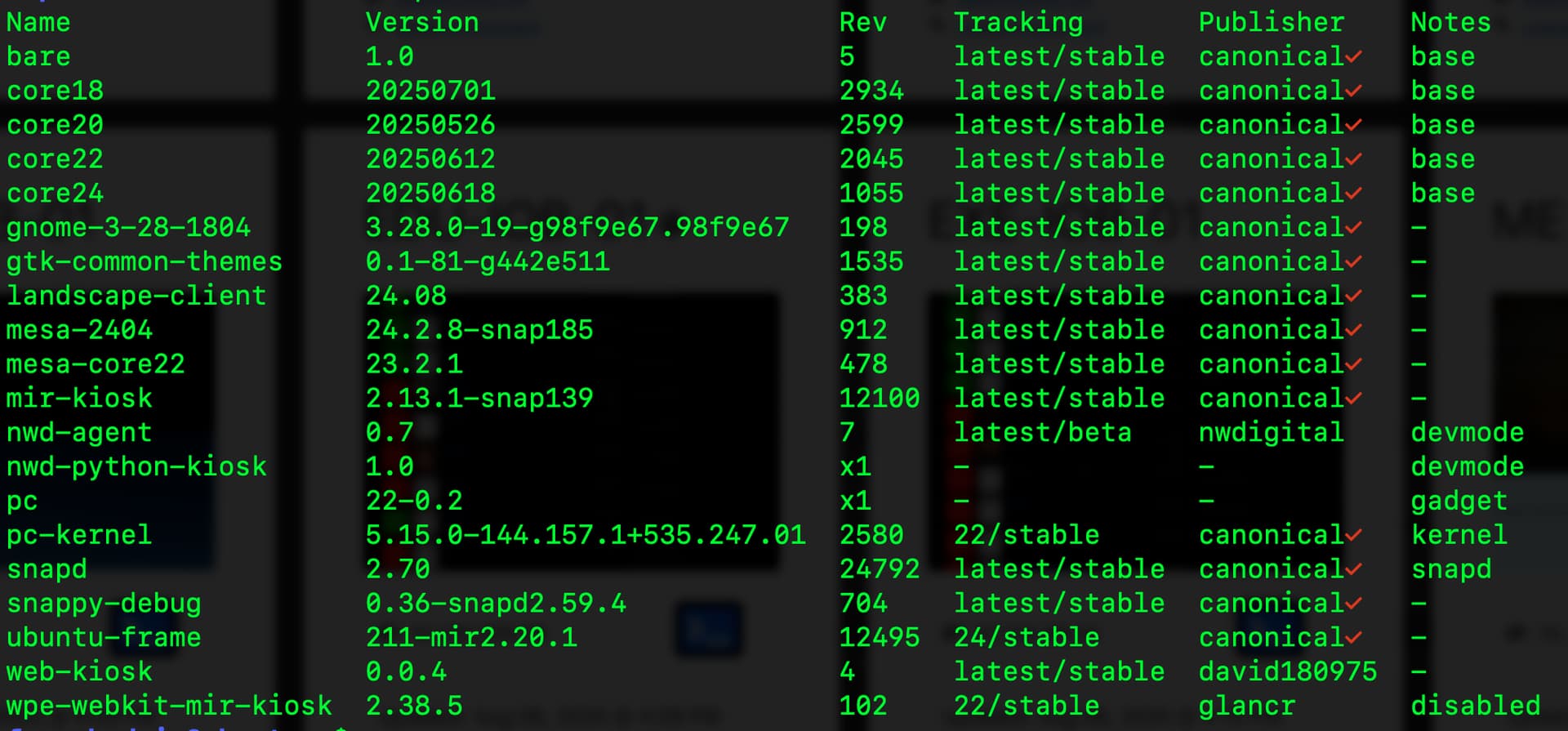 Python Webview Kiosk "GTK Warning" - snapcraft - snapcraft.io